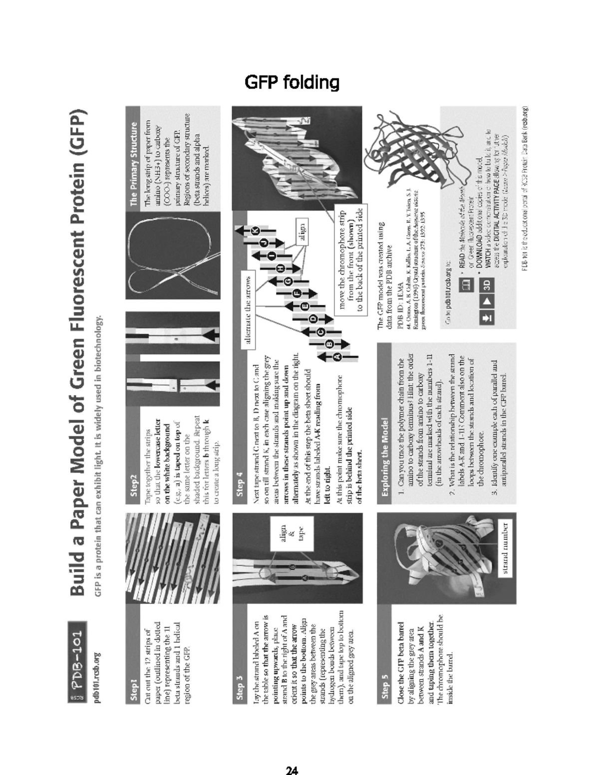 106 GFP folding - Foundations of Biochemistry - Studocu