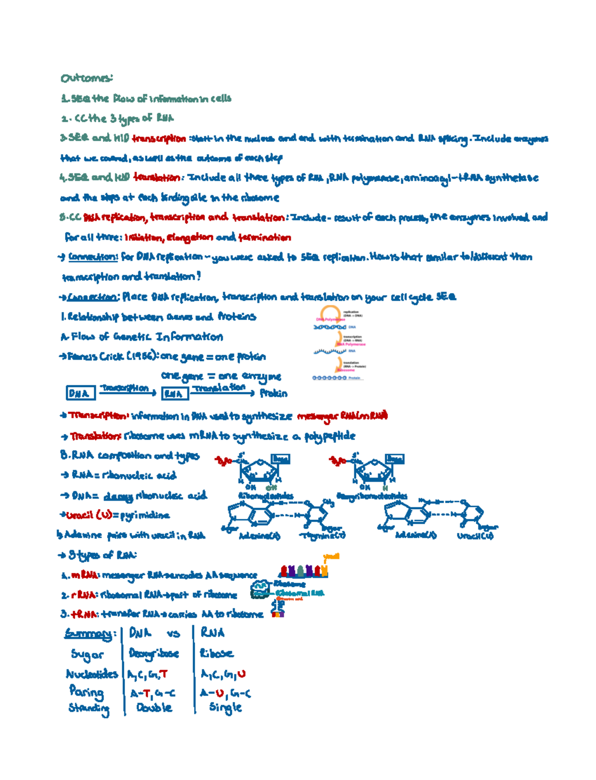 Lecture 15- Gene Expression - Outcomes: the Mow of information in cells ...