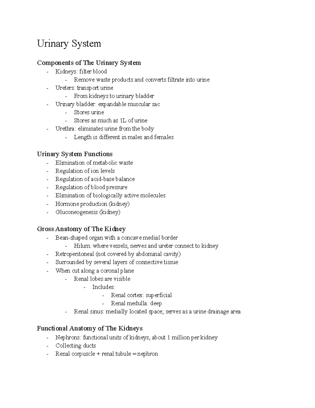 Urinary System - Lecture notes provided by Professor Childress ...