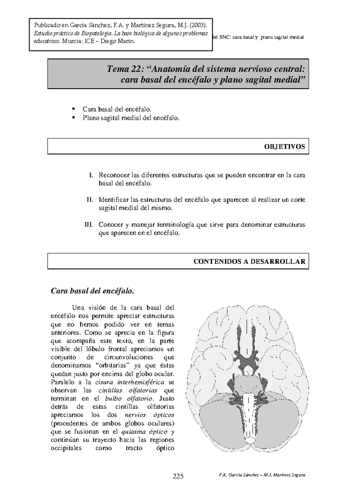 22 basal sagital - apuntes - Anatomía del SNC: cara basal y plano ...