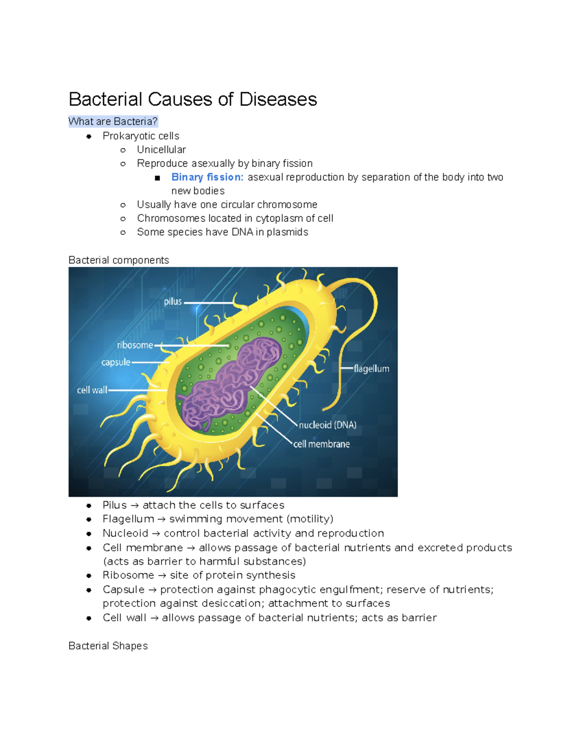 Bacterial Causes of Diseases - Studocu
