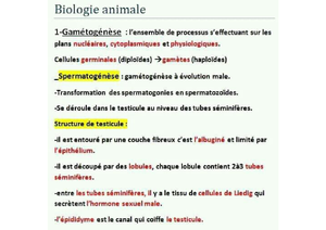 Résumé 5 Biologie Animale - Studocu