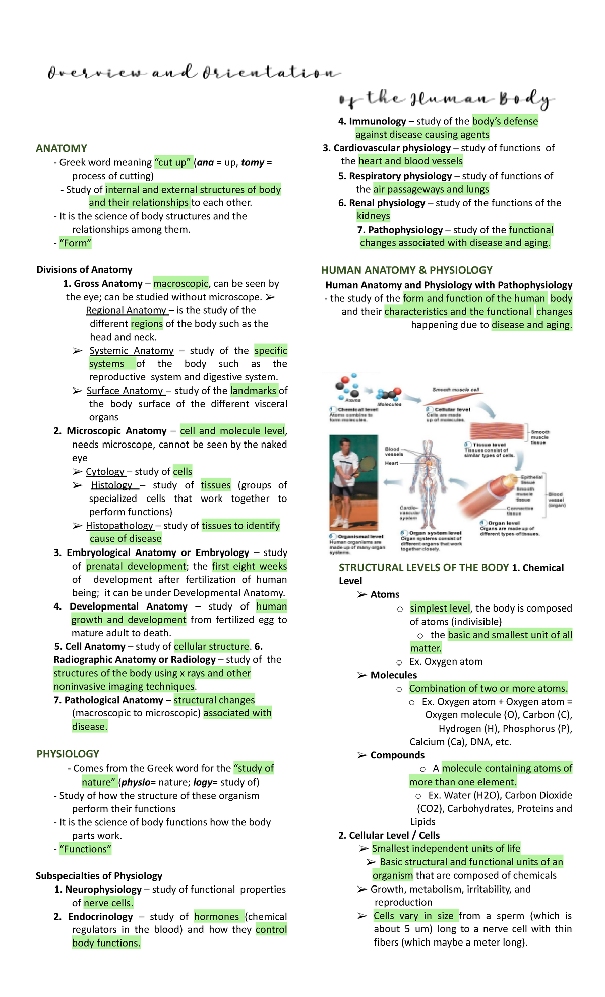 human anatomy a - HUMAN ANATOMY AND PHYSIOLOGY WITH PATHOPHYSIOLOGY ...
