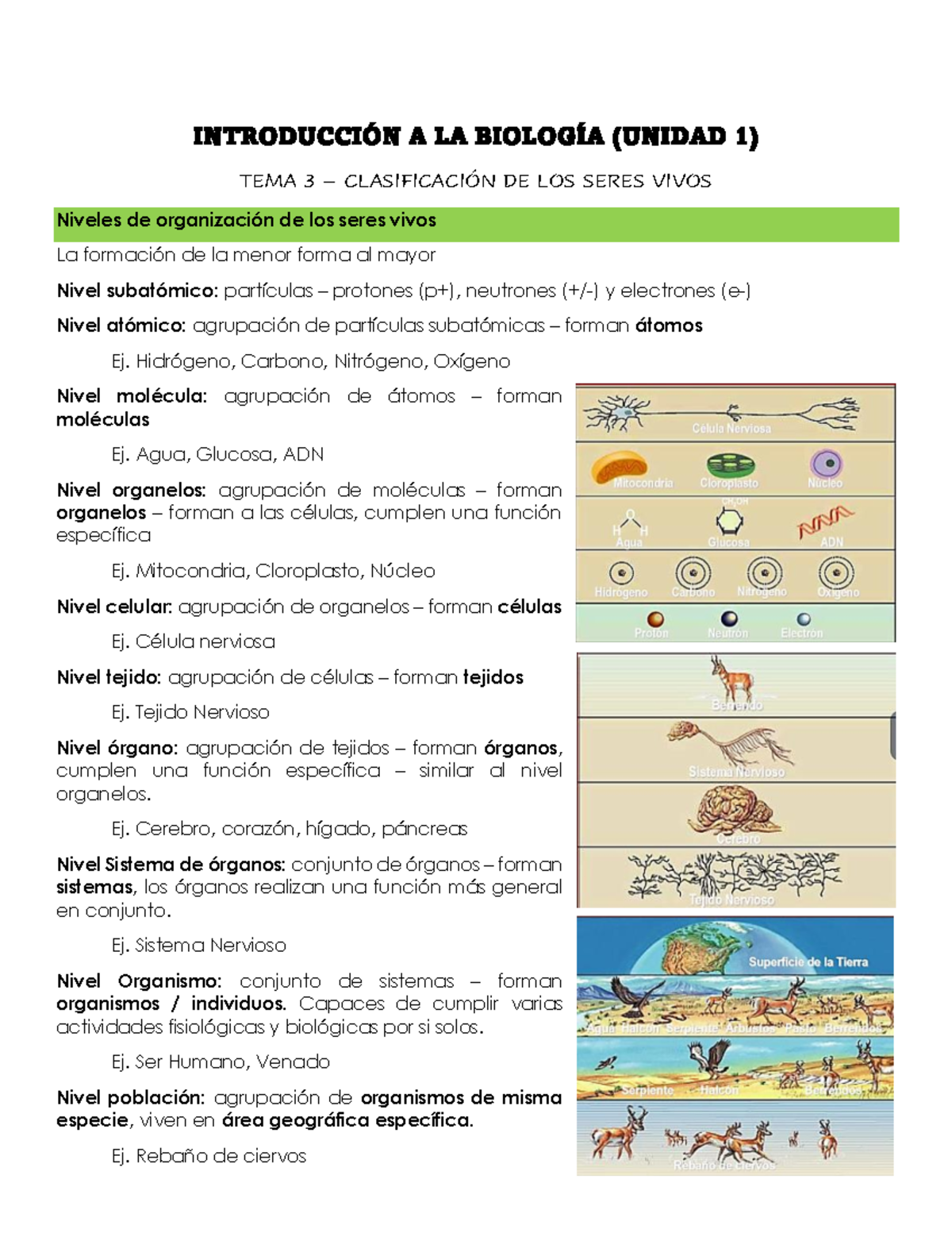 Introducción A LA Biología - TEMA 3 Clasificación DE LOS Seres Vivos ...