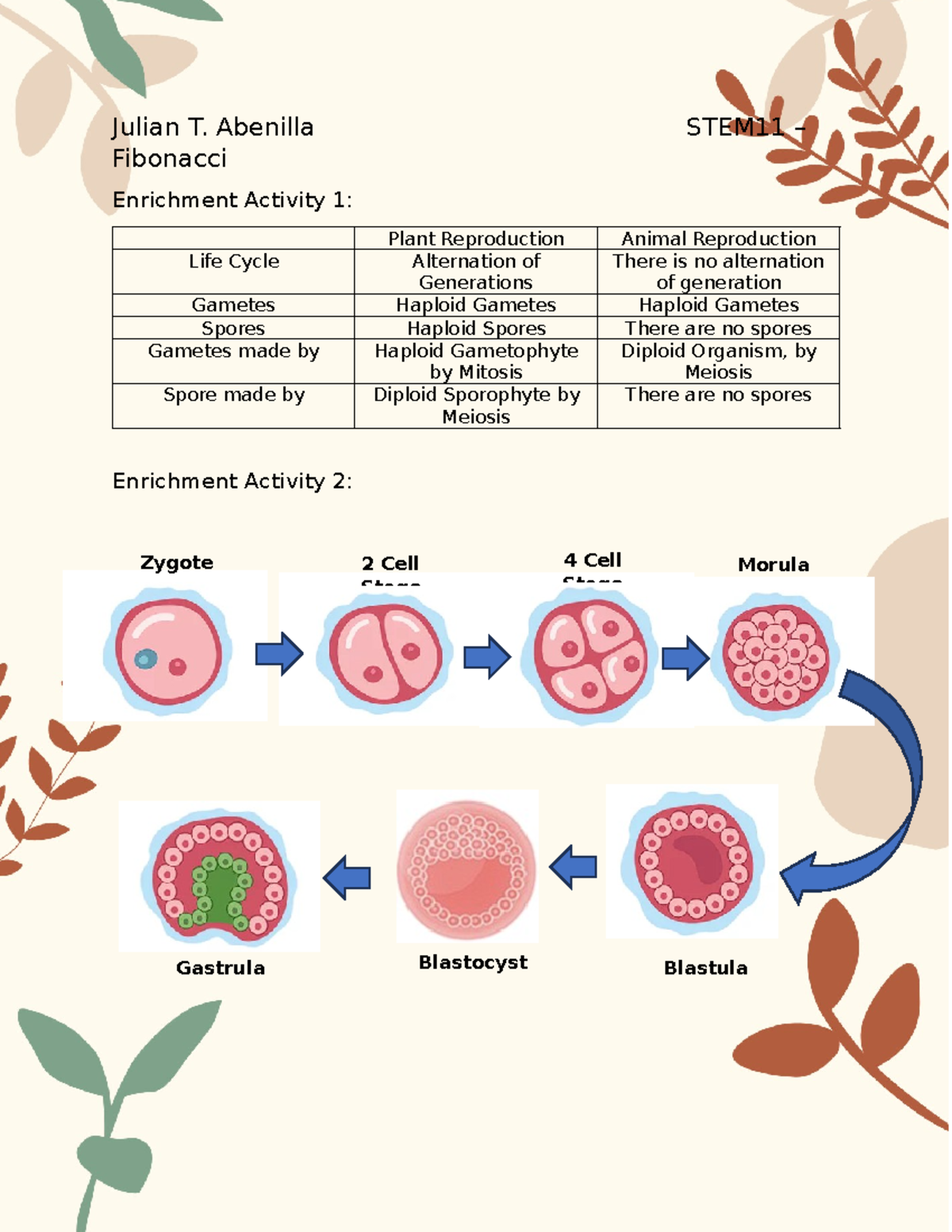 Bio - Biology - Julian T. Abenilla STEM11 – Fibonacci Enrichment ...