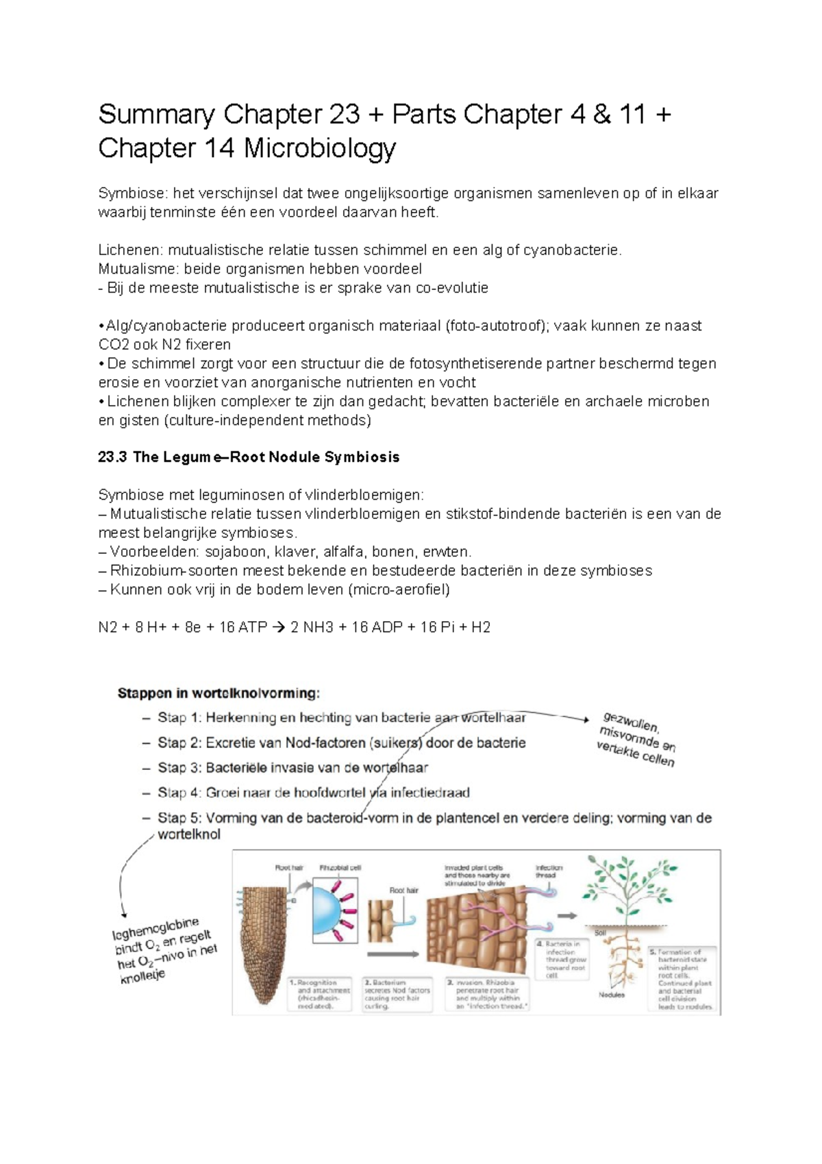 Summary Chapter 23 Microbiology - Summary Chapter 23 + Parts Chapter 4 ...