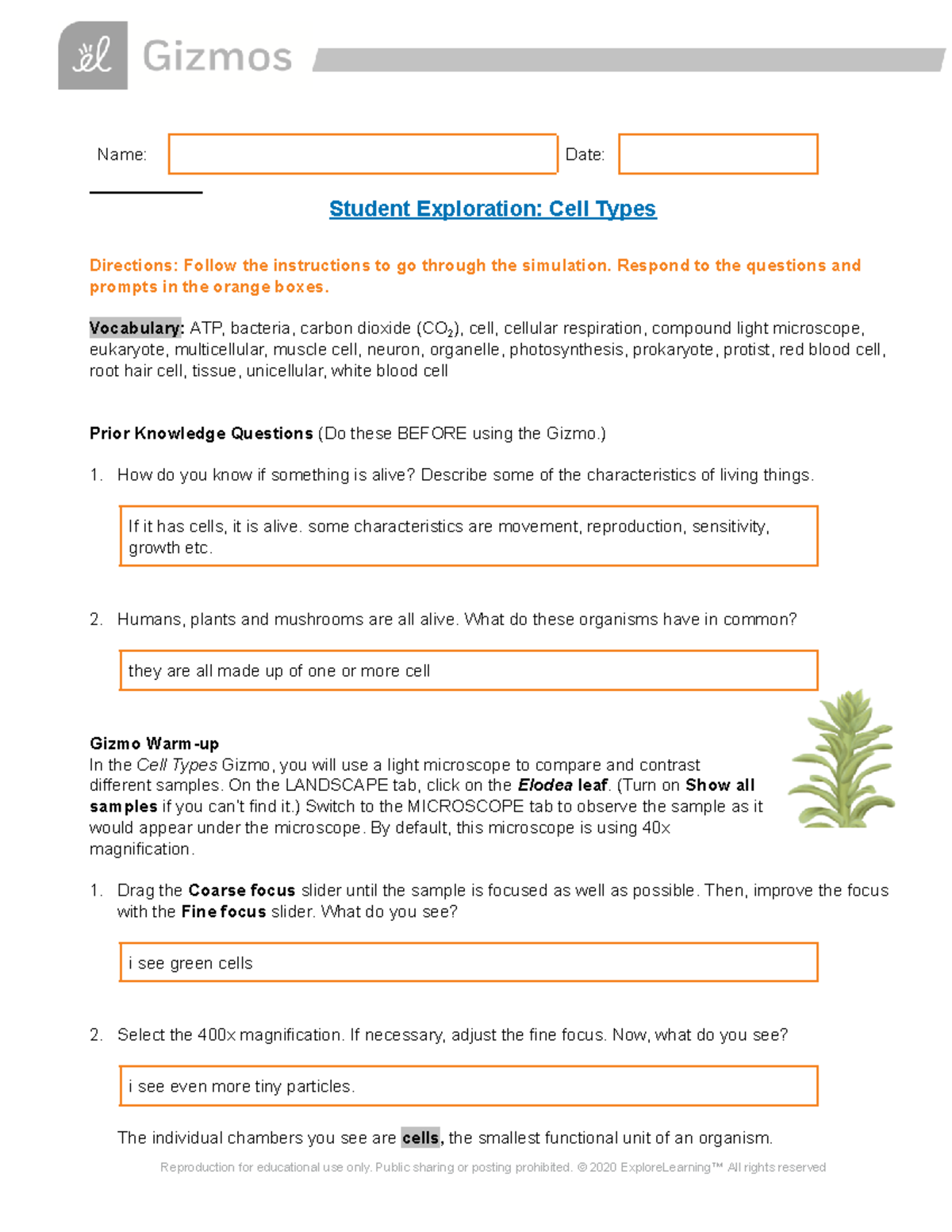 Copy of Cell Types SE - Name: Date: Student Exploration: Cell Types ...