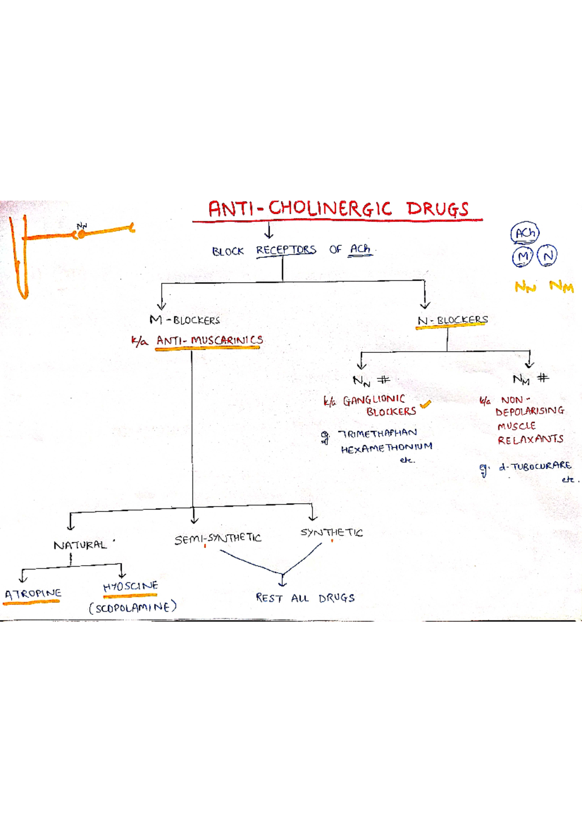 Anticholinergic Drugs - Pharmacology, Pathology & Genetics - Studocu
