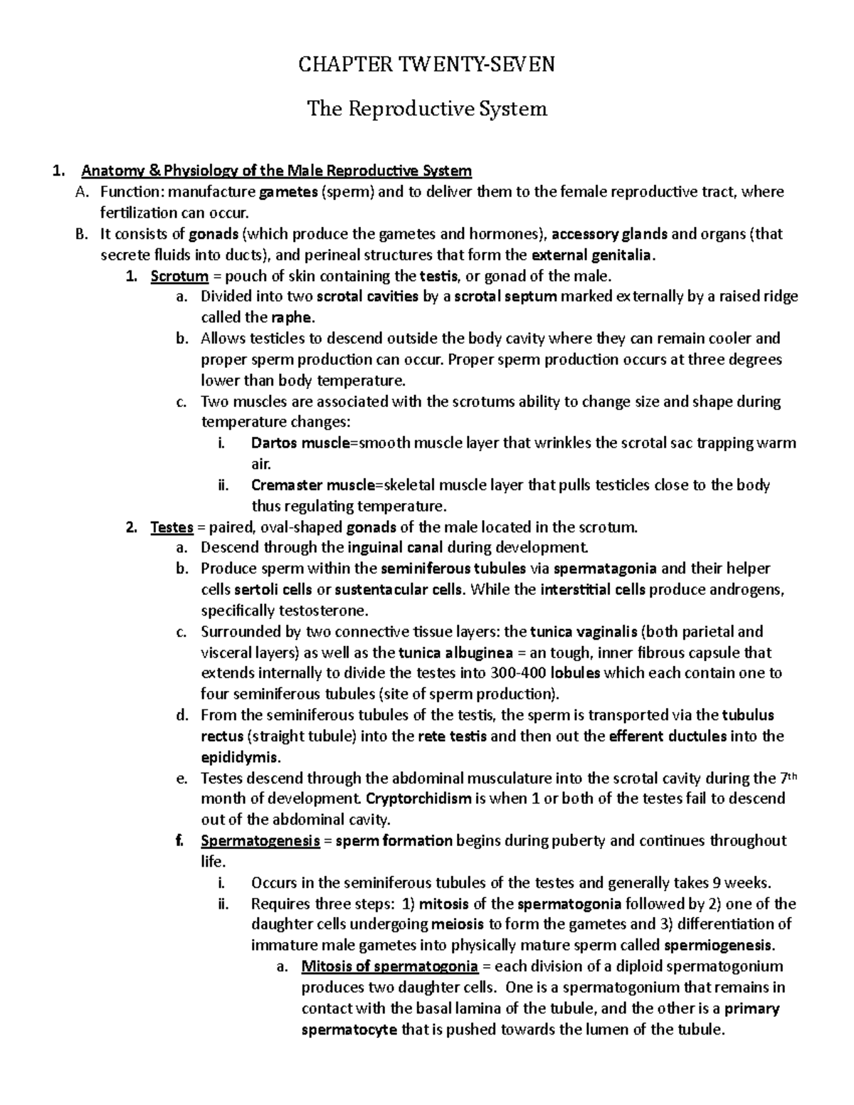 Ch. 27 reproductive system - CHAPTER TWENTY-SEVEN The Reproductive ...