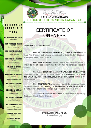 Barangay TAX CODE - SAMPLE - Republic of the Philippines Province of ...