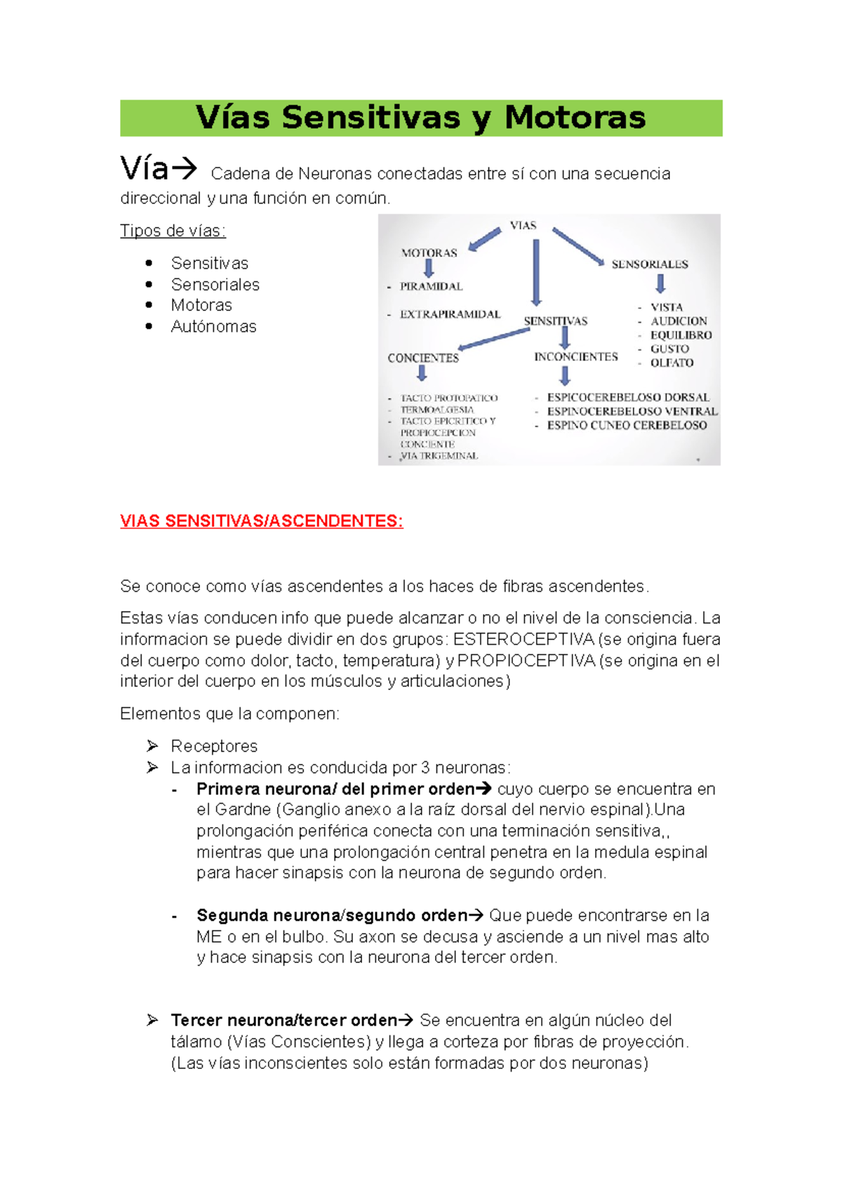 Vías Sensitivas y Motoras - Vías Sensitivas y Motoras Vía Cadena de Neuronas conectadas entre sí ...