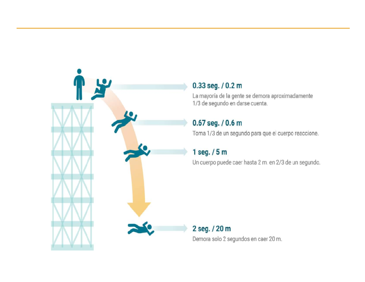 Charla de seguridad - estudio de caida distinto nivel - Nuestras manos (desde la muñeca hasta la ...