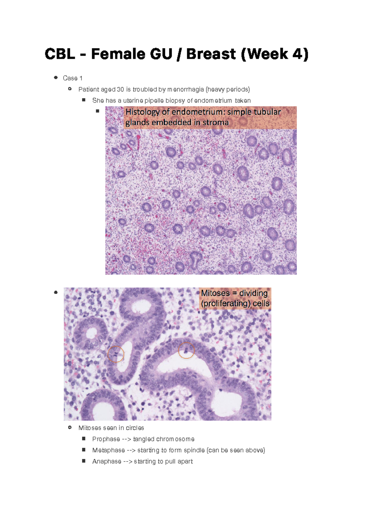 Female GU Breast - C B L - F e m a l e G U / B re a s t ( We e k 4 ...