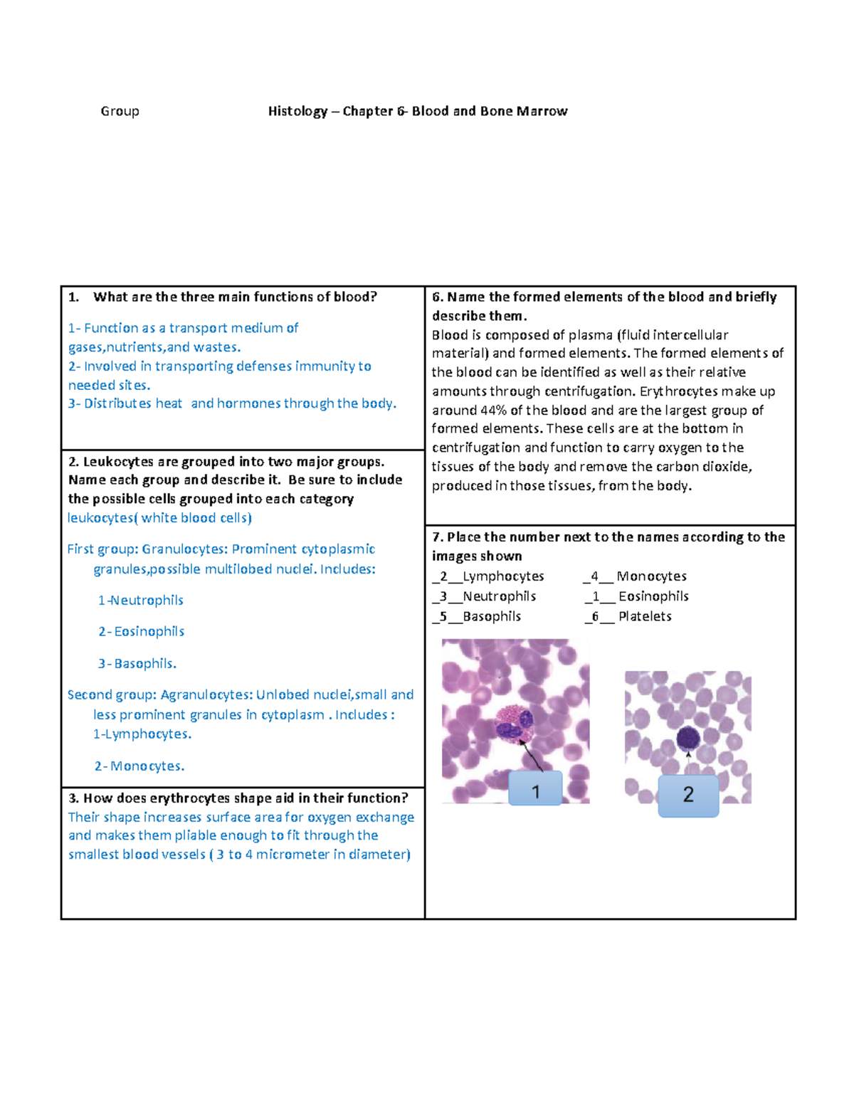 Blood and bone marrow Assignment - Group Histology – Chapter 6- Blood ...