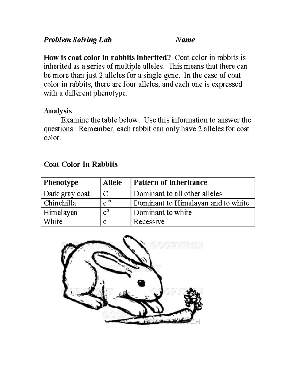 Multiple Alleles Questions - Problem Solving Lab Name____________ How is coat color in rabbits ...