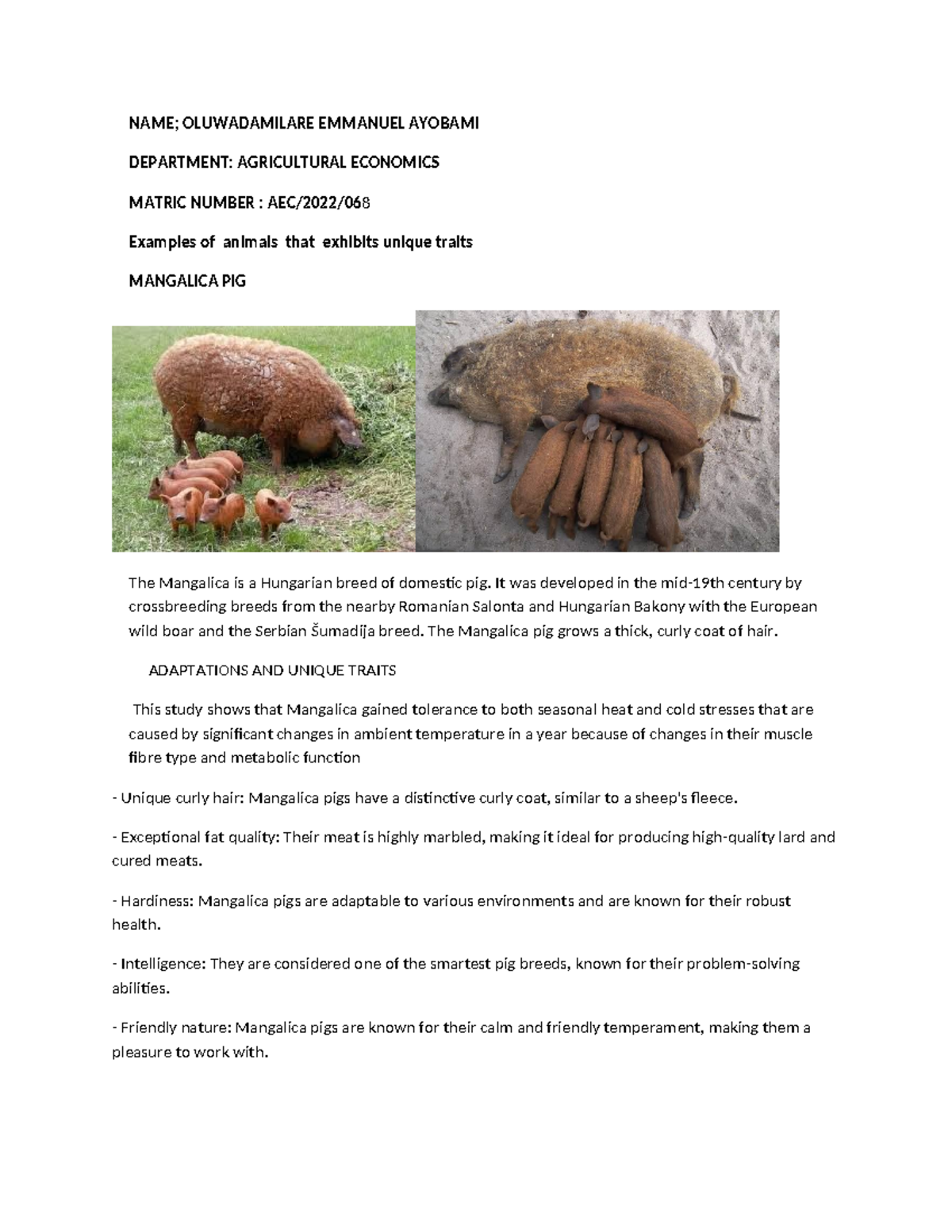 DOC-20240619-WA0013 - Summary Animal science - NAME; OLUWADAMILARE ...