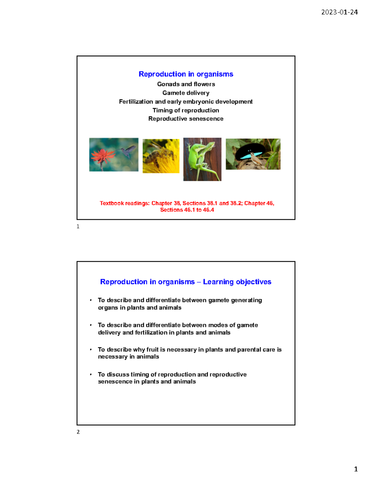 Lecture 09 - BIOL 209 - Reproduction in Organisms - Chapters 38 and 46 ...