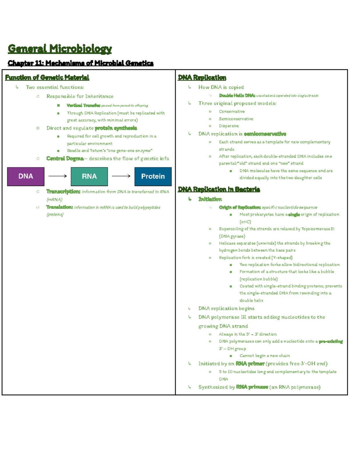 BIO245 - Chapter 11 Notes: Mechanisms of the Microbial Genetics - Gen ...