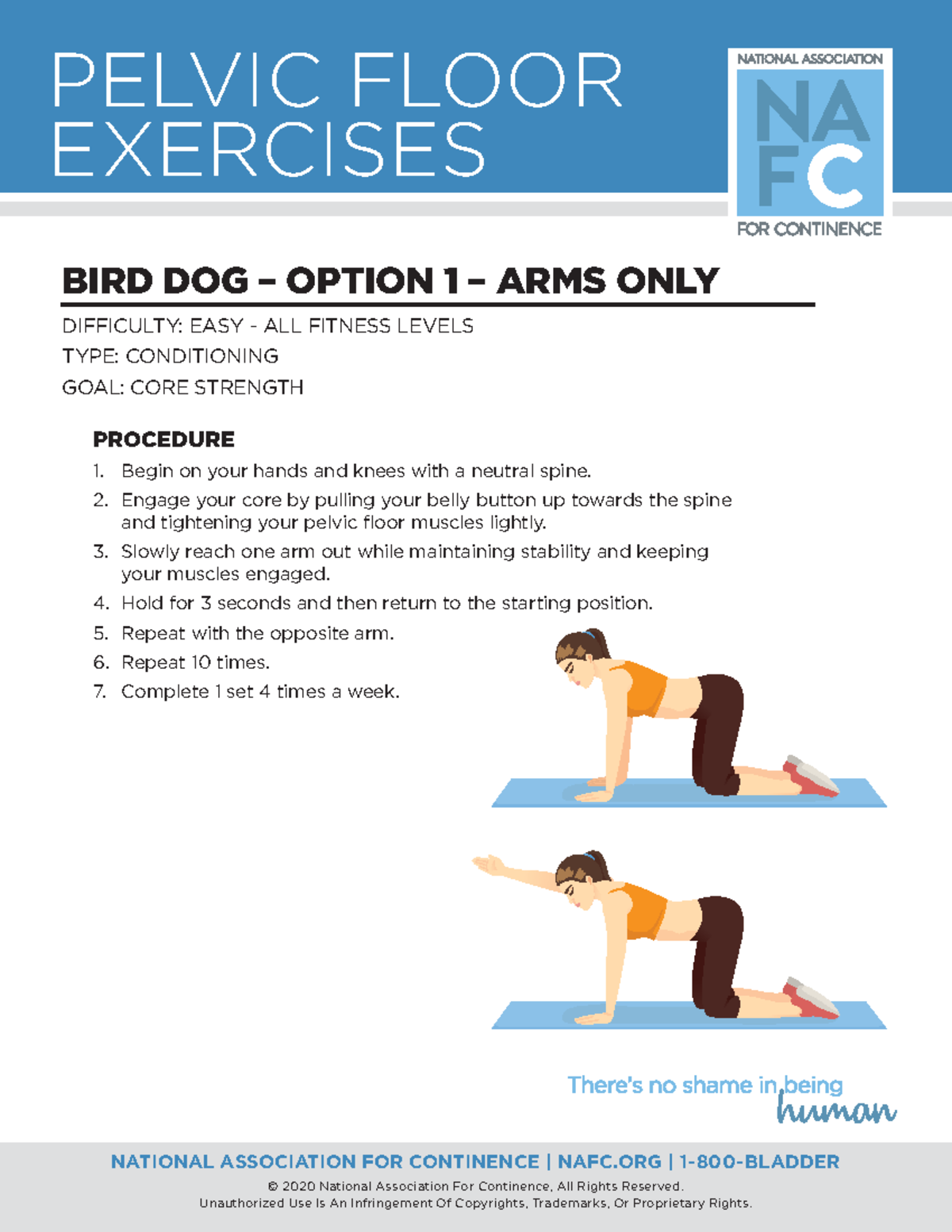 Bird Dog Option 1 - exercises for prenatal care - PELVIC FLOOR ...