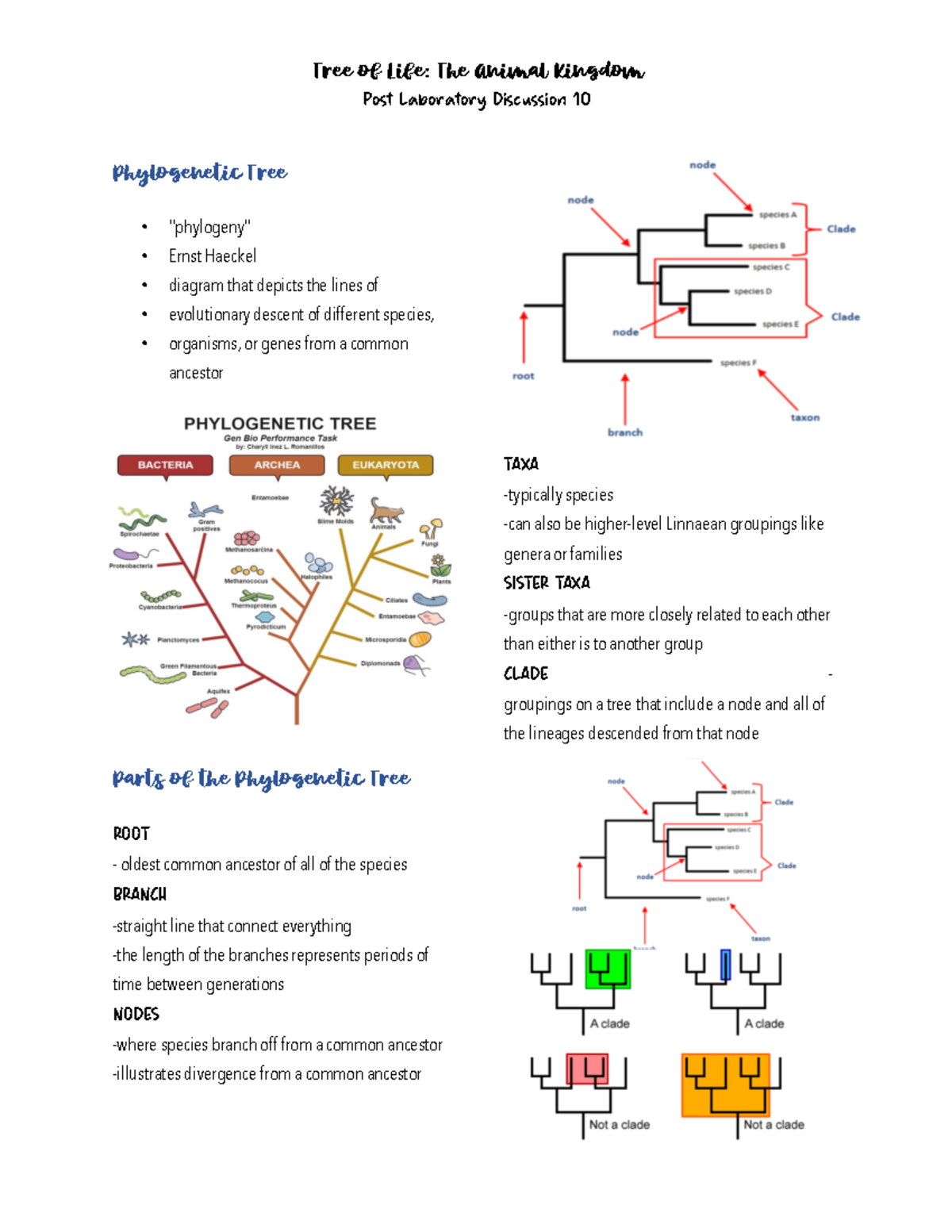 Post Lab 10 - Post Laboratory - Tree of Life: The Animal Kingdom Post ...