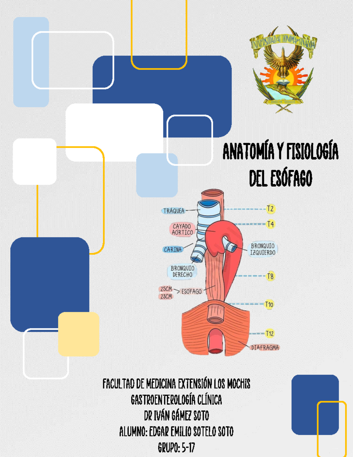Anatomía y fisiología del esófago - ANATOMíA Y FISIOLOGíA DEL ESóFAGO ...