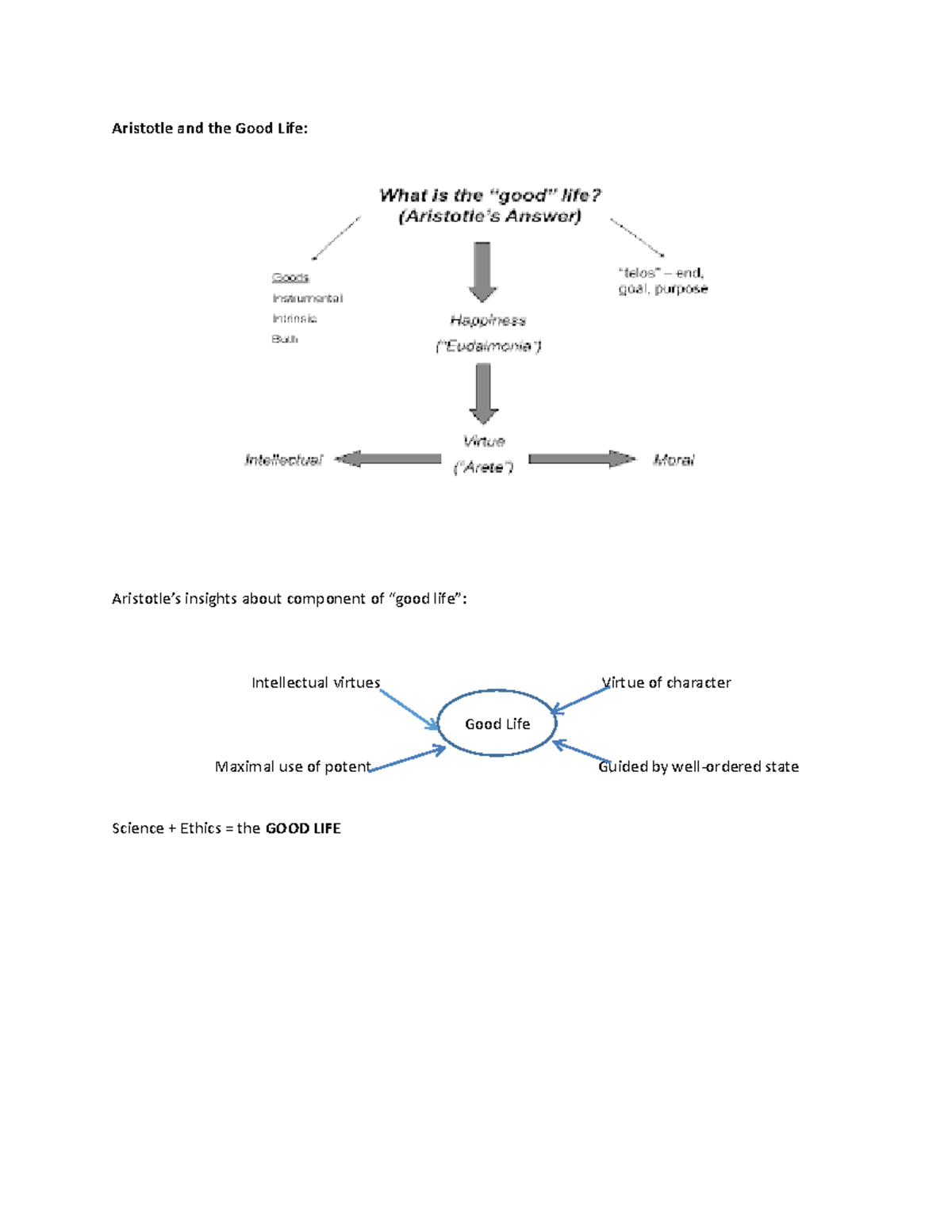 Aristotle and the Good Life - Aristotle and the Good Life: Aristotle’s ...