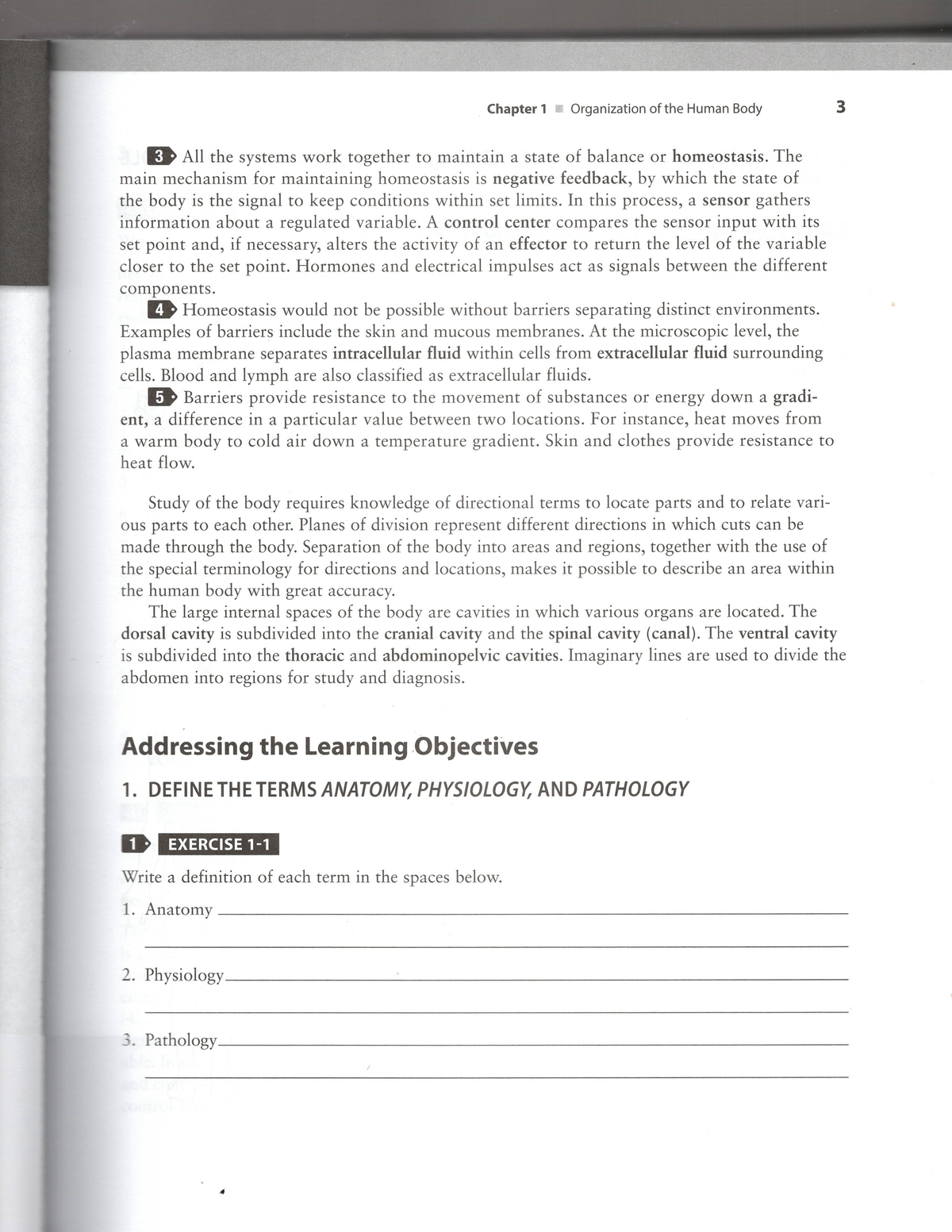 AP2 - AP WORKSHEETS - Chapter 1 Organization of the Human Body 3 3 All ...