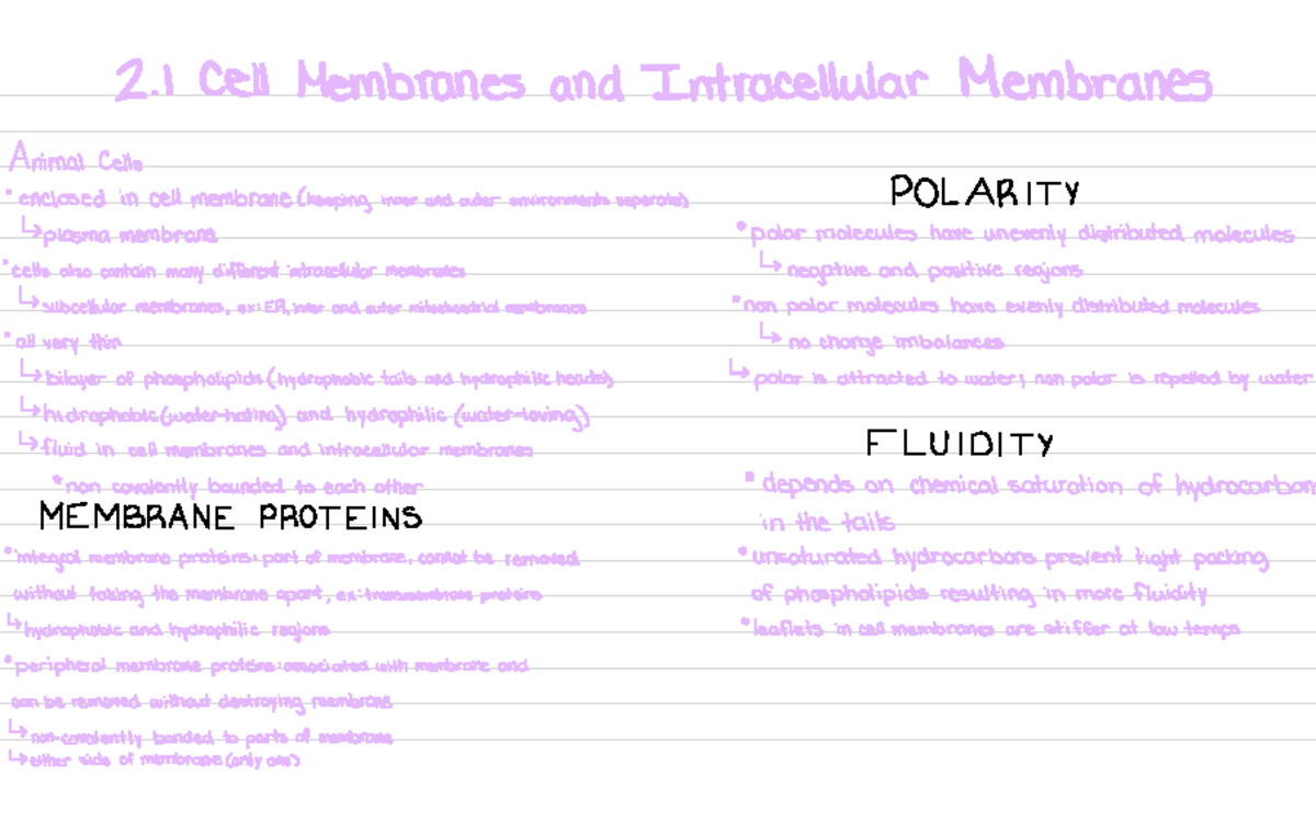 Section 2 - Textbook notes on topic 2.1 - 2. 1 Cell Membranes and ...