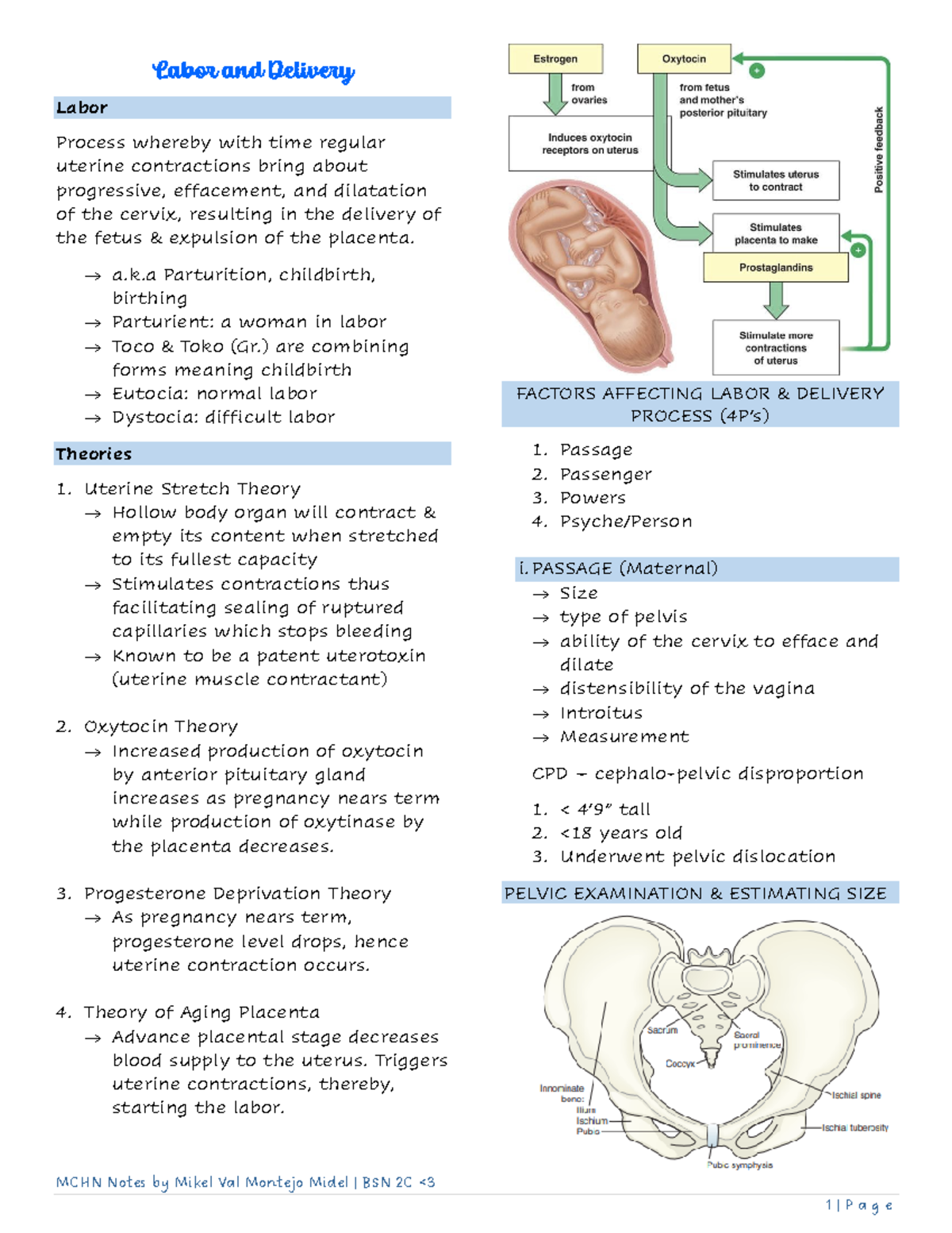 Labor and Delivery Notes - MCHN Notes by Mikel Val Montejo Midel | BSN 2C