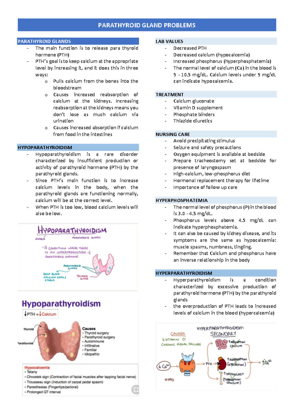 Endocrinology MSN - PARATHYROID GLAND PROBLEMS PARATHYROID GLANDS The ...