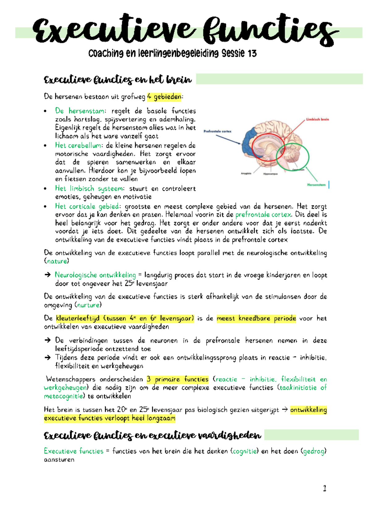 Coaching En Leerlingenbegeleiding Sessie 13 Executieve Functies ...
