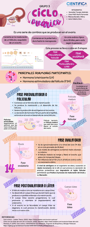 Semana 4 Periodo Fetal GHB 2021-II - DESARROLLO Y CRECIMIENTO CLASE 4 ...