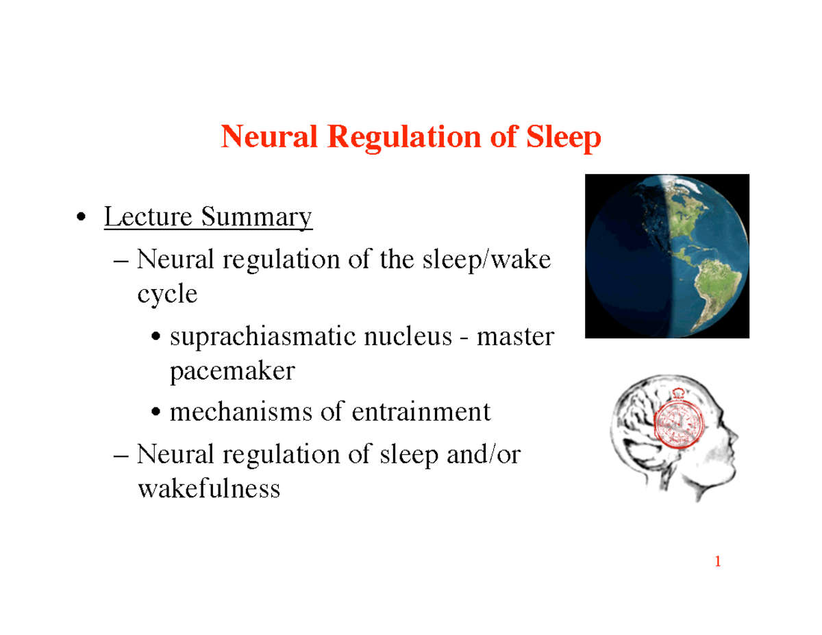 3.neural - Nope - Neural Regulation of Sleep • Lecture Summary – Neural ...