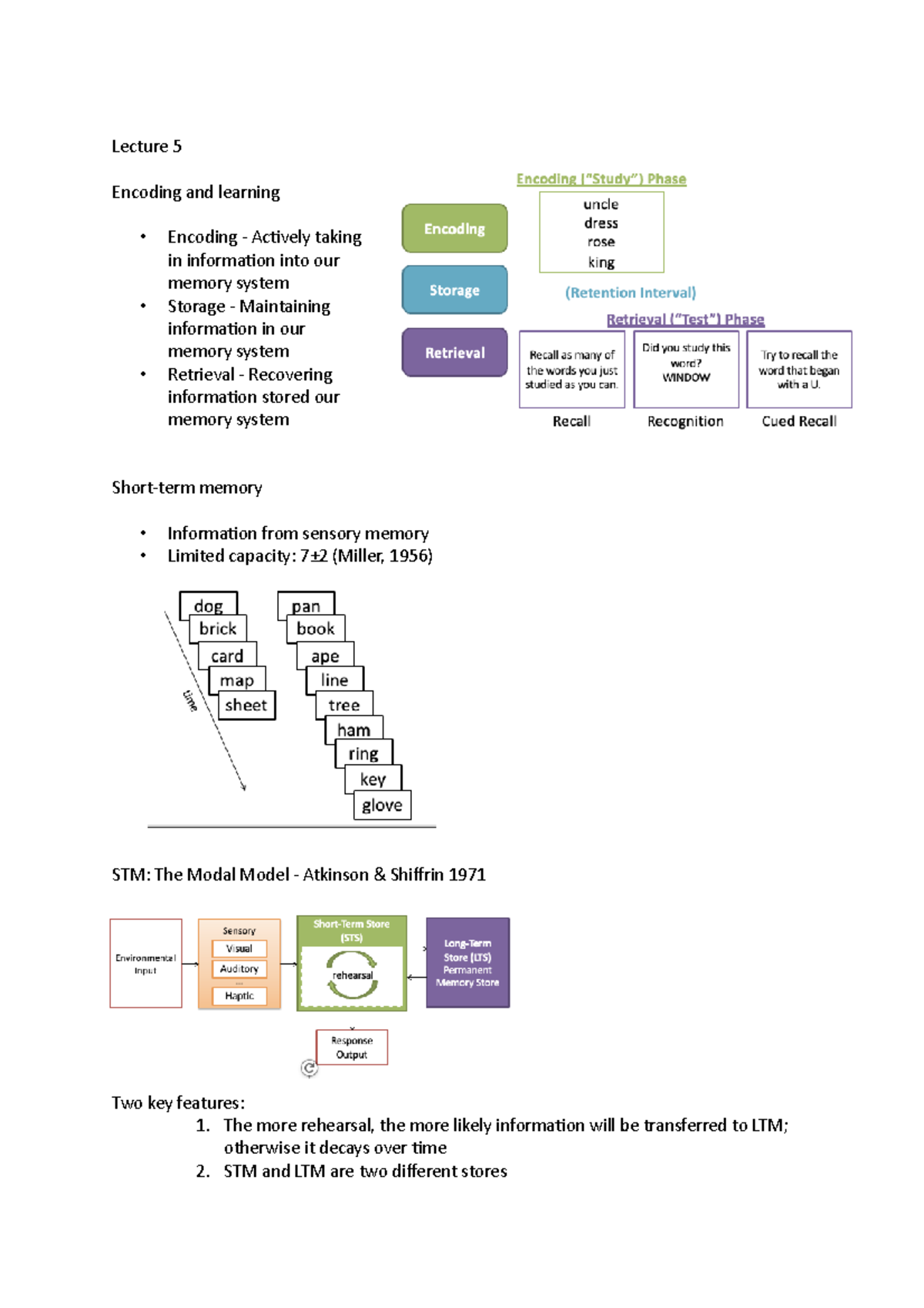 Memory and attention Lecture 5 - Lecture 5 Encoding and learning Encoding Actively taking in ...