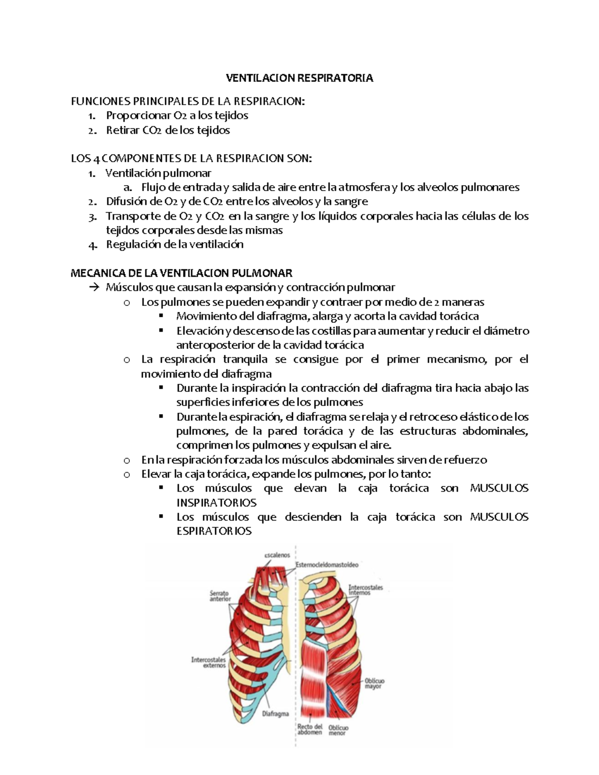 Resumen Capitulo 38 Ventilacion Pulmonar - VENTILACION RESPIRATORIA FUNCIONES PRINCIPALES DE LA ...