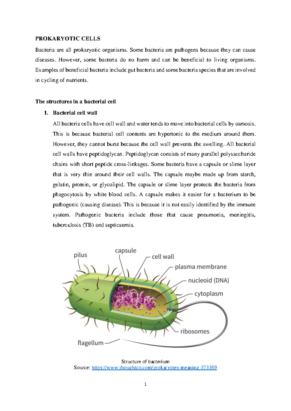 Prokaryotic Cells - 1 PROKARYOTIC CELLS Bacteria are all prokaryotic ...