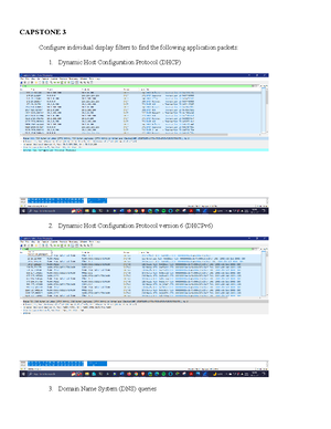 M08 - Capstone 4 - CAPSTONE 4 Capstone Lab 4: Create a Wireshark Display Filter to View IPv6 ...