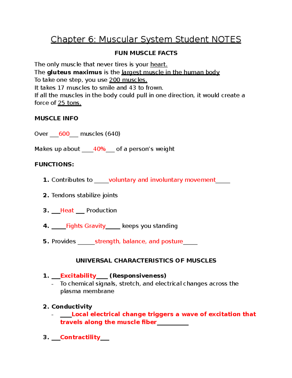 Updated Muscular Guided Notes - Chapter 6: Muscular System Student ...
