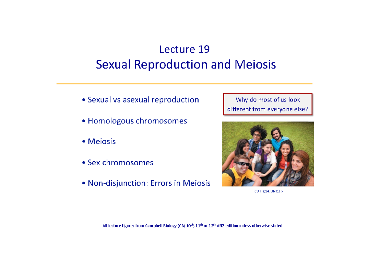 L19 HO Meiosis - notes - Sexual vs asexual reproduction Homologous ...