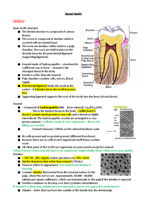 Bdsfirstyear - Lecture notes 1 - First Year General Human Anatomy ...
