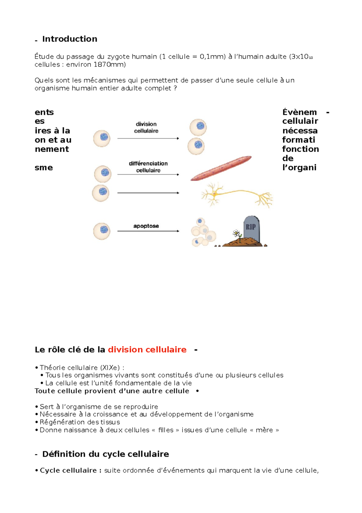 CH3 Cycle cellulaire - Résumé de cours - Introduction Étude du passage ...