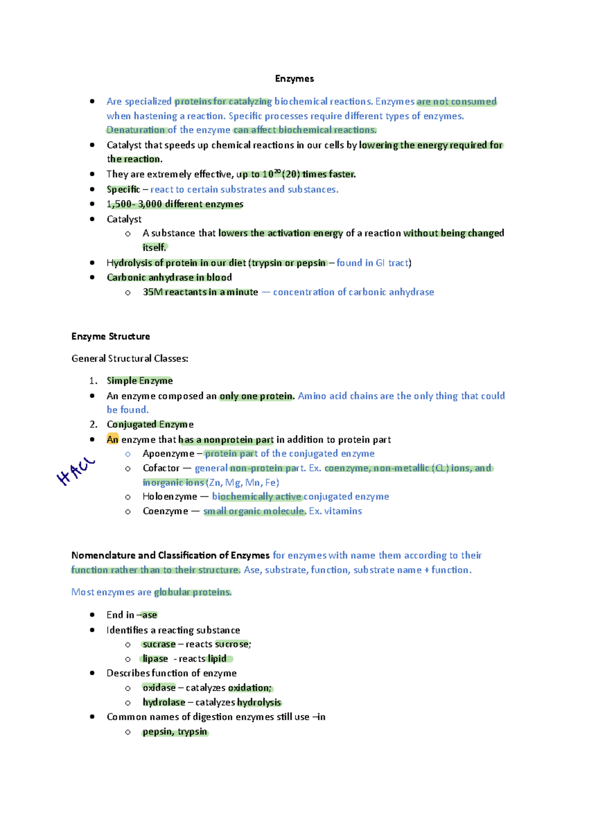 Enzymes - Summary Bs in nursing - Enzymes Are specialized proteins for ...