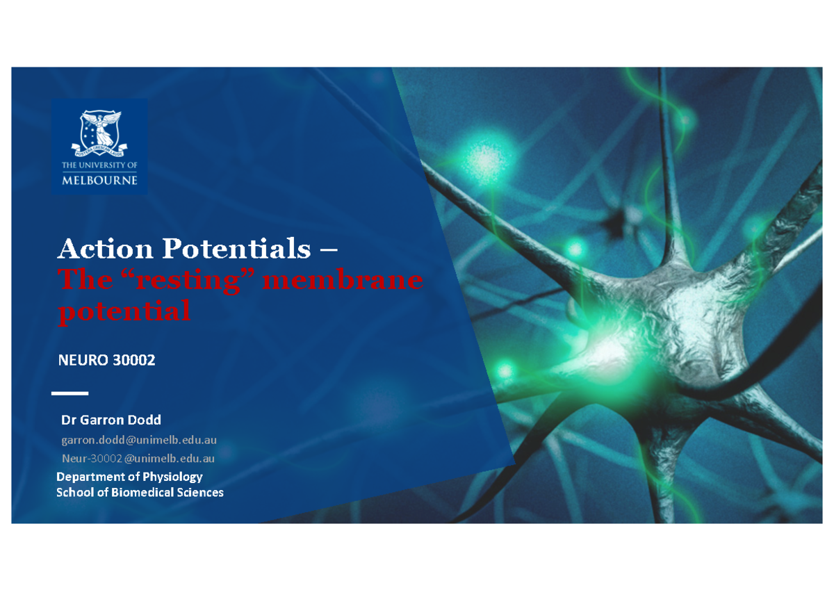 Action potentials - Axon Initial Segment and the Nodes of Ranvier ...