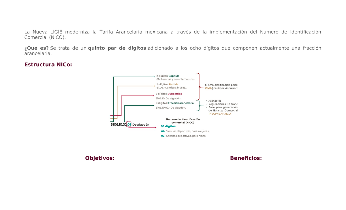 La Nueva Ligie - La Nueva LIGIE moderniza la Tarifa Arancelaria ...