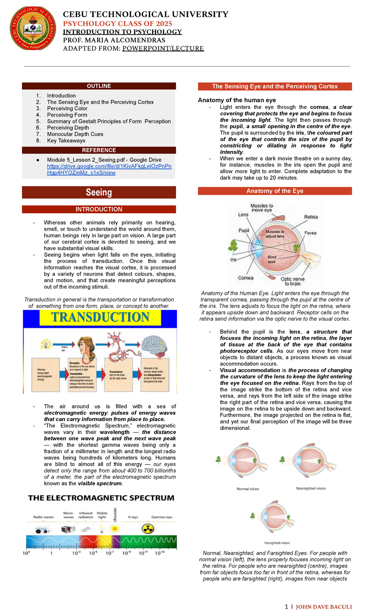 Transes for ITP - Lesson 2 Seeing - PSYCHOLOGY CLASS OF 2025 ...