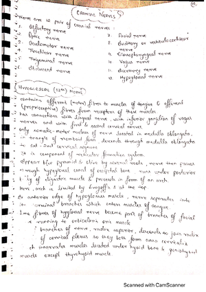 Sketchy Micro Flashcards - bacteria STAPHYLOCOCCUS AUREUS “Golden Staff ...