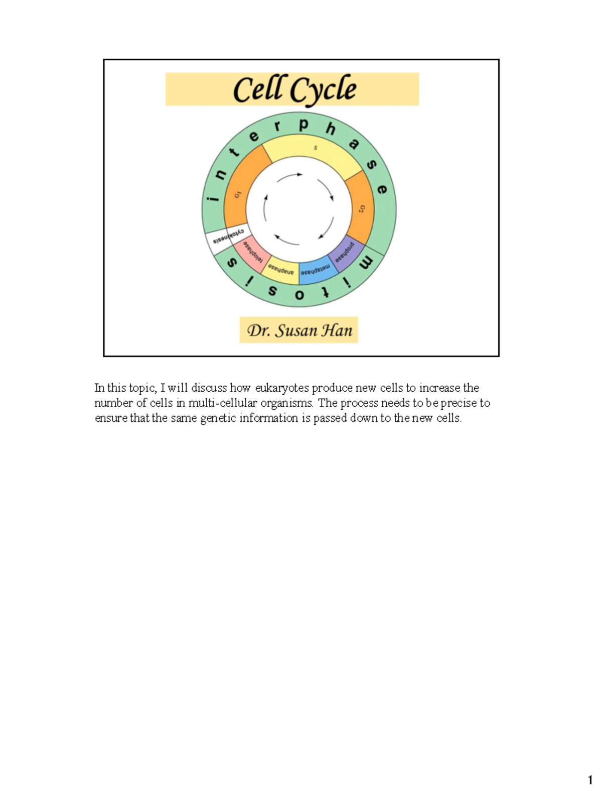 3. Cell cycle online - Lecture - In this topic, I will discuss how ...