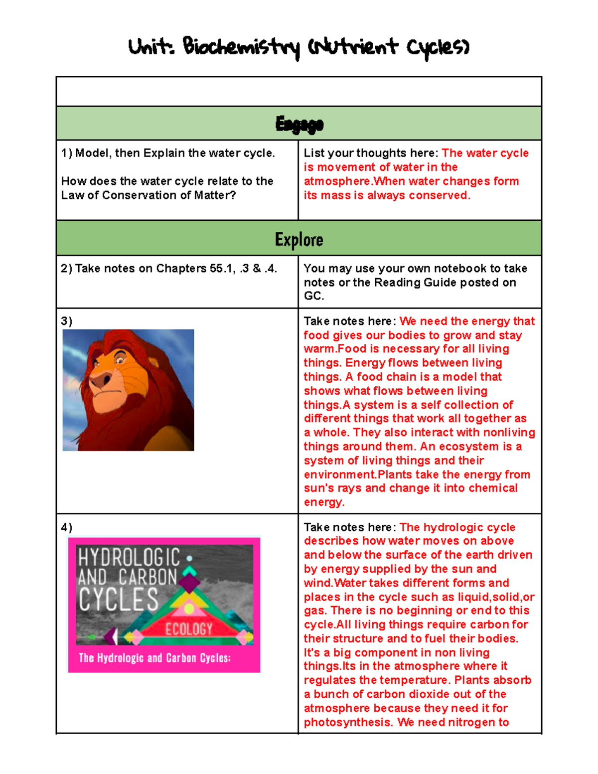 Unit Biochemistry (nutrient cycle) Hyperdoc - Unit: Biochemistry ...