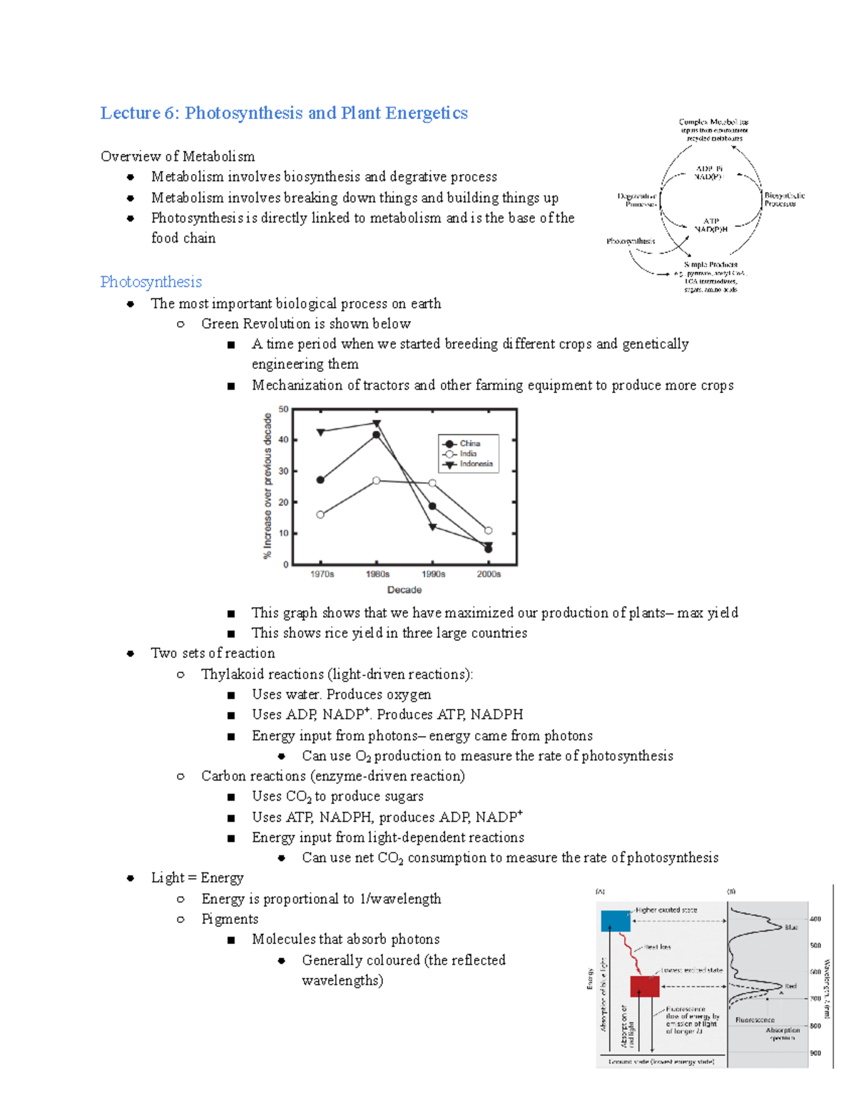 Lecture 6 photosynthesis and Plant Energetics - Lecture 6 ...