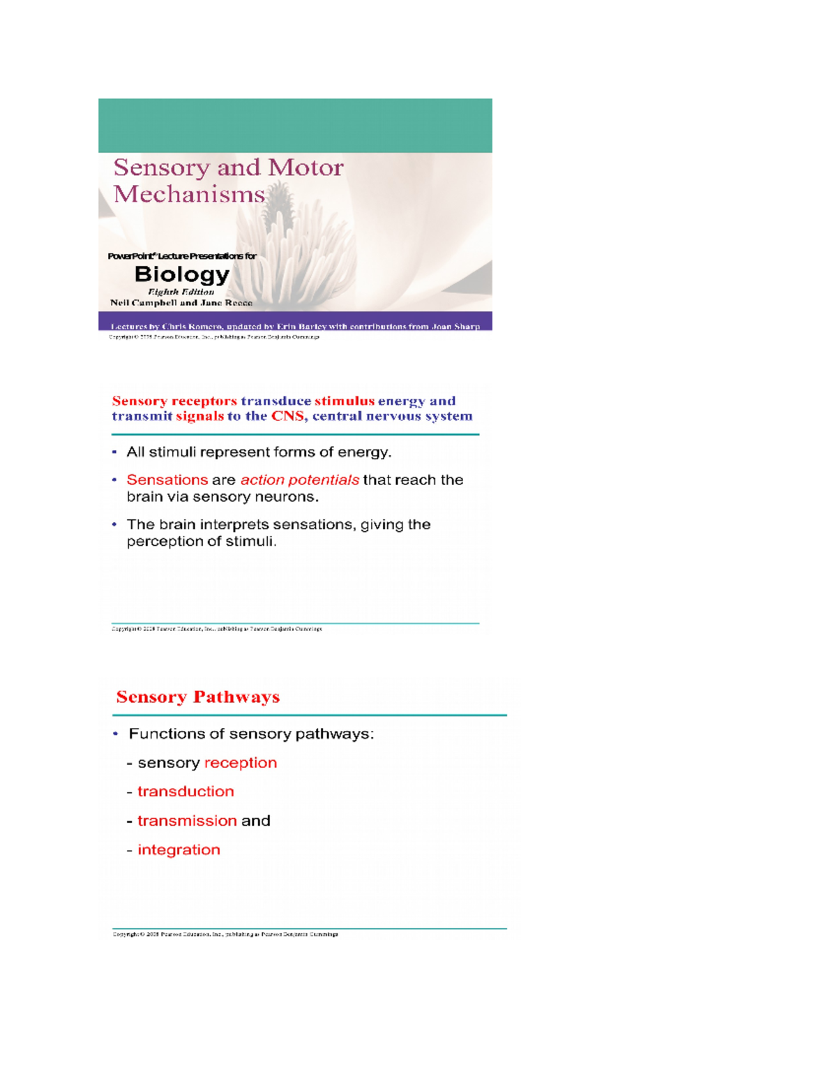 Sensory Organs Handout - Bs biology - Studocu